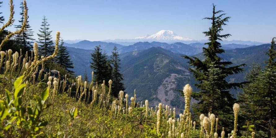 7 Best Hikes Near Seattle