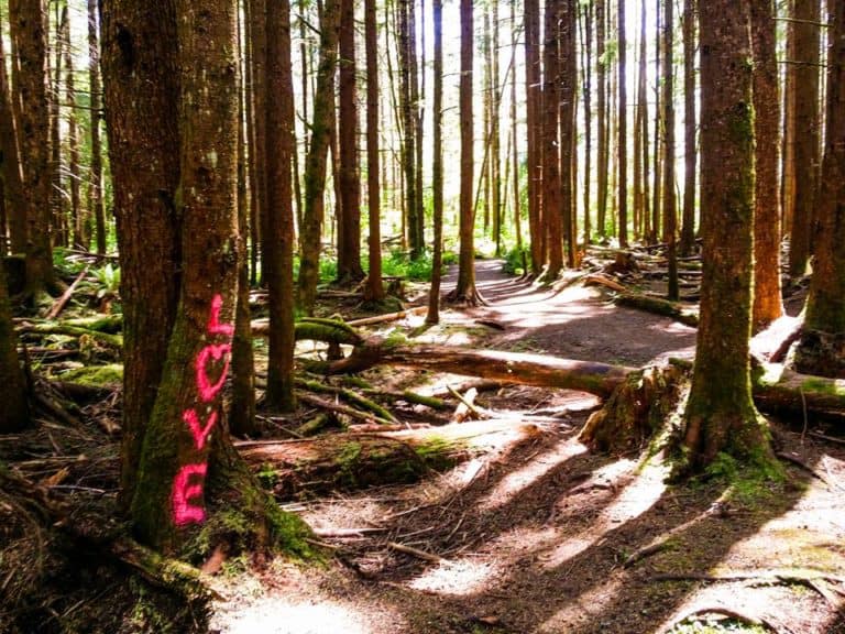 Exploring the Historic Train Canyon of Old Robe Trail