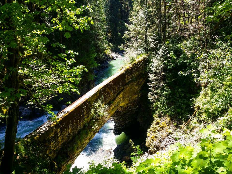 Exploring the Historic Train Canyon of Old Robe Trail