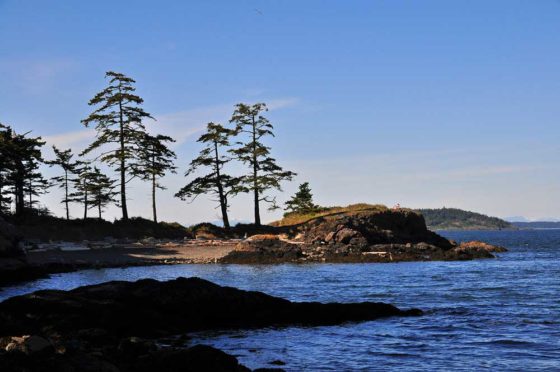 Best Beaches in Washington State for Fun - Fit Living Lifestyle