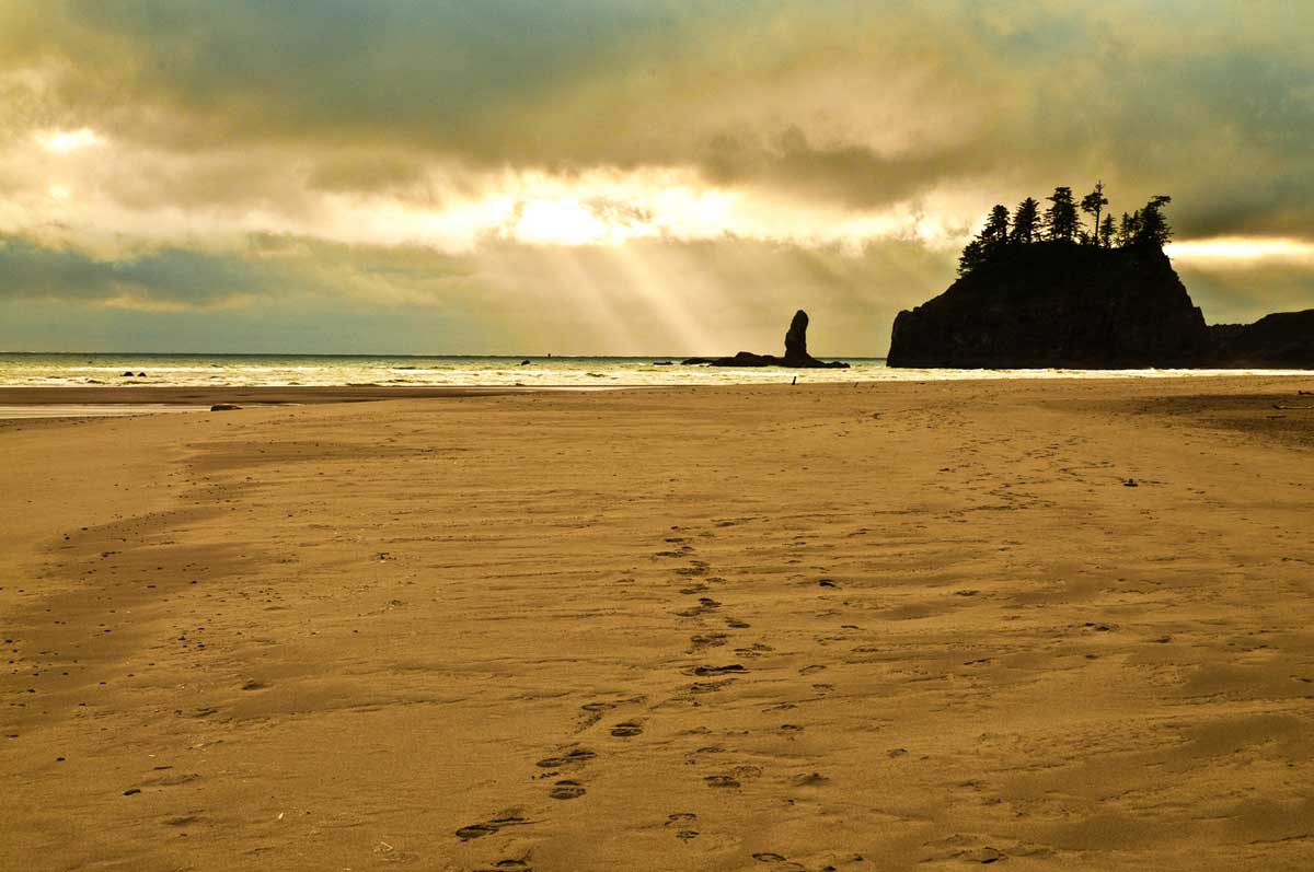 Best Beaches in Washington State for Fun - Fit Living Lifestyle