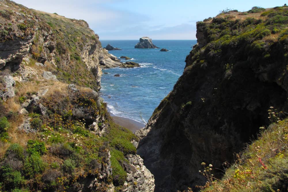10 Best Hikes in Point Reyes National Seashore - Fit Living Lifestyle