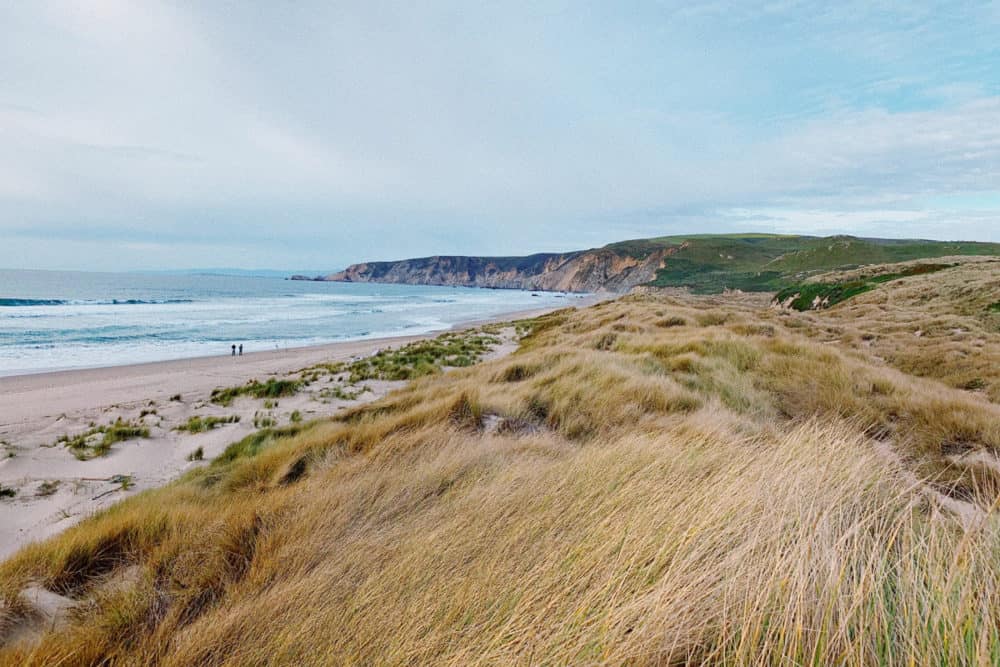 10 Best Hikes in Point Reyes National Seashore - Fit Living Lifestyle