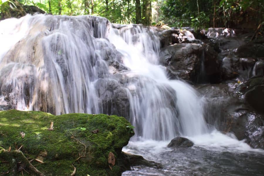 Homepage - Fit Living Lifestyle