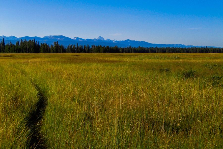 12 Best Hikes in Yellowstone National Park