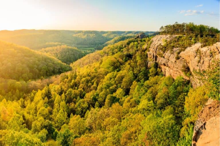 How to go Kayaking at Red River Gorge in Kentucky