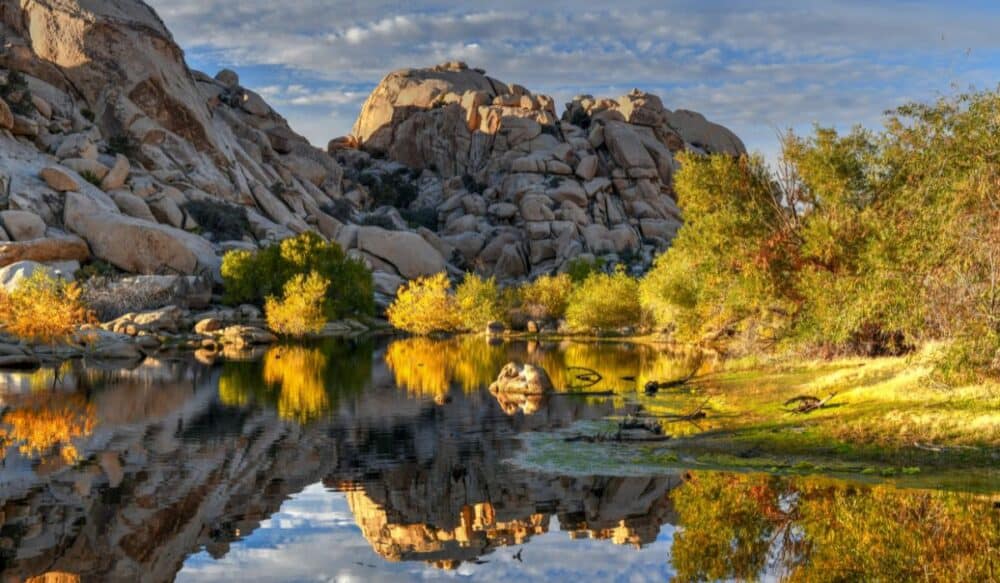 15 Best Hikes at Joshua Tree National Park