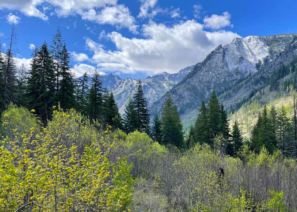 Ultimate Guide for 15 Top Hikes Near Leavenworth WA